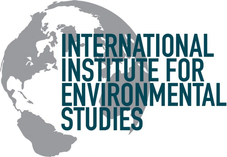 IIES logo small jpg - International Institute for Environmental Studies